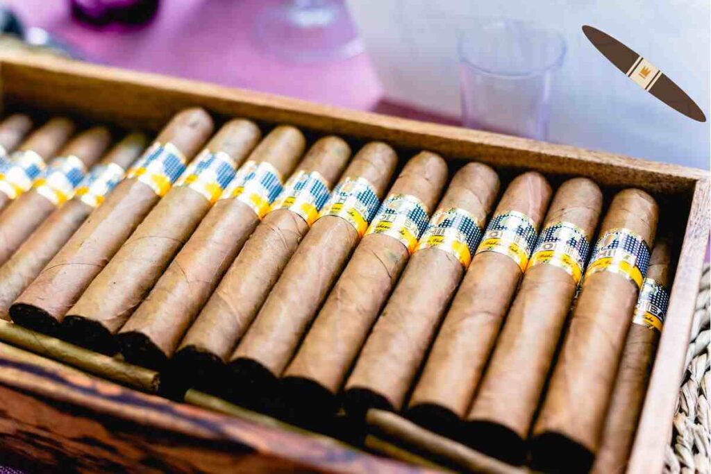 La classifica dei 10 migliori sigari al mondo: i primi 3 sono cubani - sigariavana.it